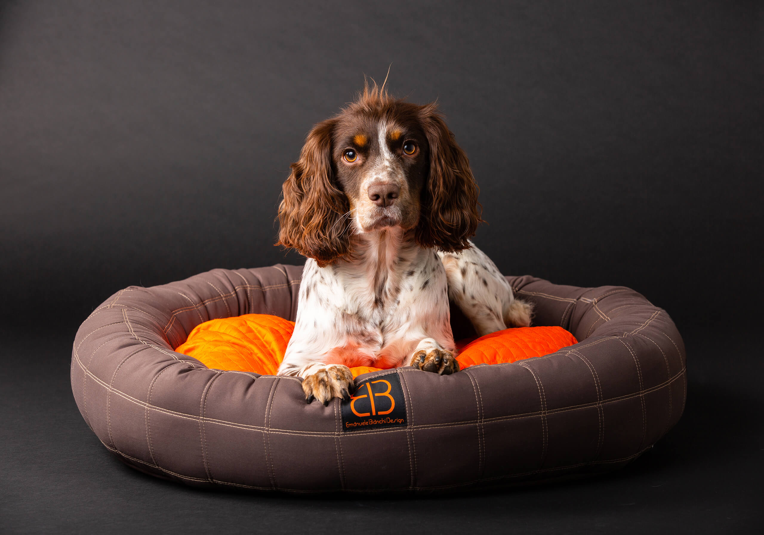 EB Dozer Donut pet bed, small, no. DODO S
