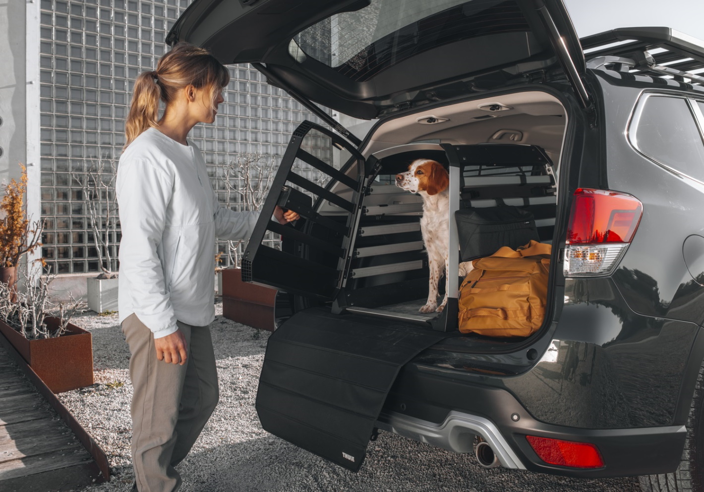 Thule Allax threshold compatible crash-tested dog crate, size S, no. 770011