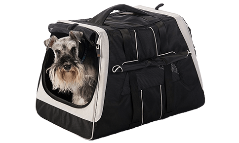 Car Pet Carriers